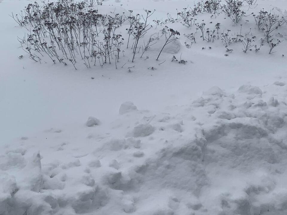 Snow Squalls in New Jersey Sunday Amid Cold Front Arrival - NewsBreak