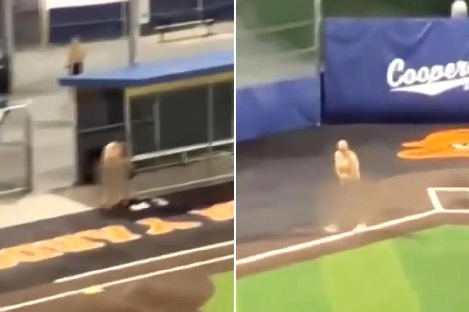 Youth baseball coaches fired after streaking in front of kids in ...