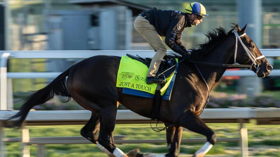 Previewing Louisiana Stakes Grade 3 Race 12 & Key Contenders - NewsBreak
