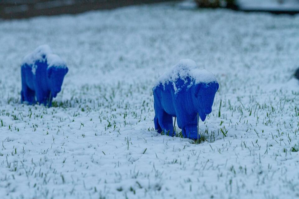 Buffalo Marks Winter's Arrival With First Snowfall - NewsBreak