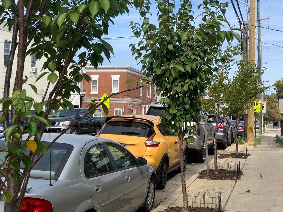 Philadelphia gets $12 million USDA grant to grow its urban tree canopy