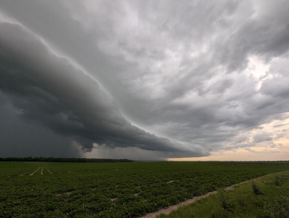Massive shelf cloud rolls over farmland near Morriston - NewsBreak