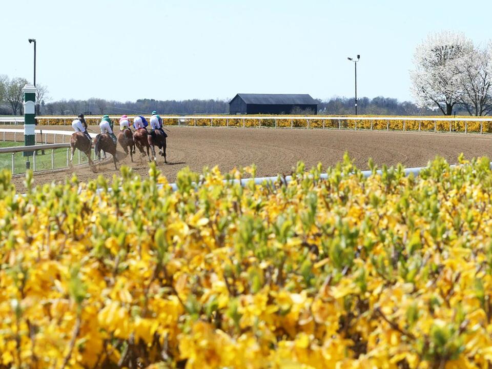 Corrales Discharged From Hospital After Fatal Accident at Keeneland