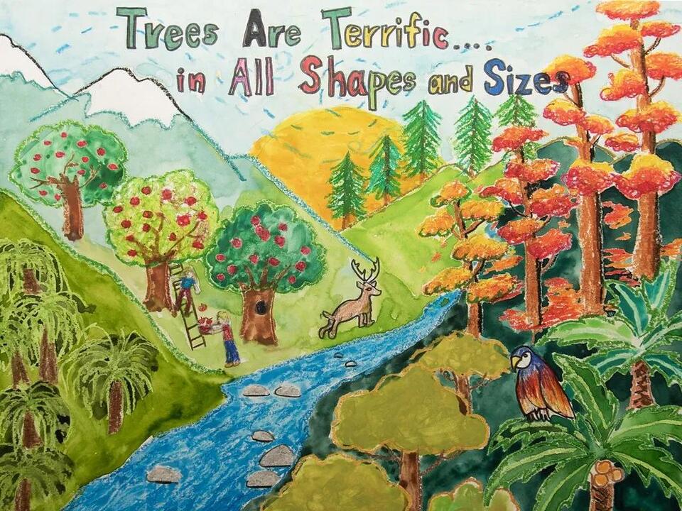 St. Mary’s County 5th Grader Takes Third In 2024 Arbor Day Poster Contest