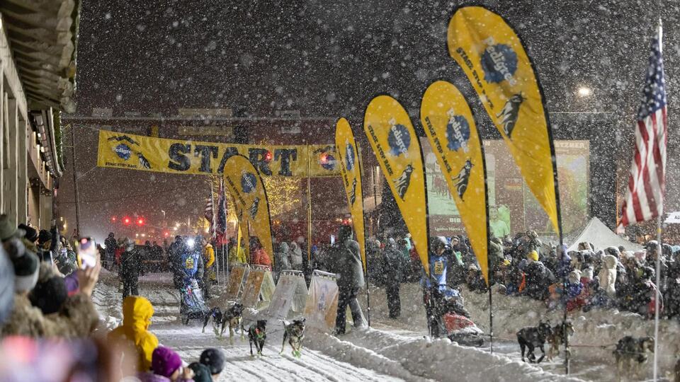 Mush! Dog sled race returns to Jackson Friday night - NewsBreak