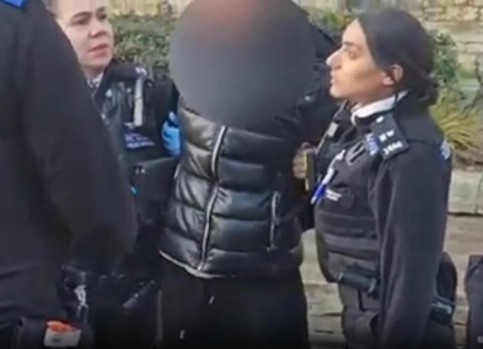 Woman feeding pigeons arrested and handcuffed by police as onlookers ...