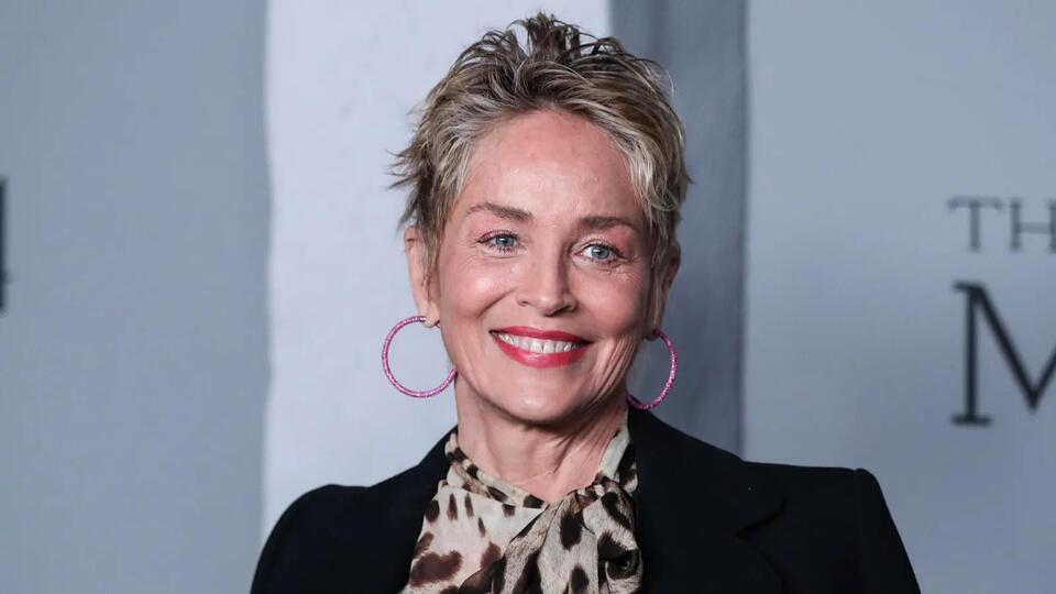 Sharon Stone calls out ‘kids at my table' for not knowing who she was ...