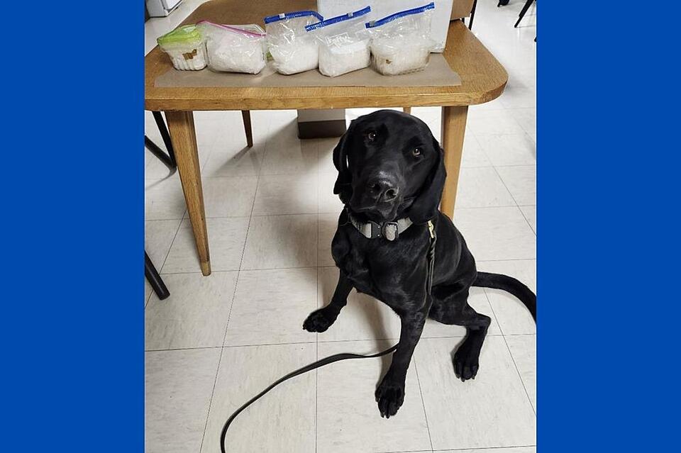 Pounds of Meth Seized in Major Drug Bust at Minnesota Post Office ...