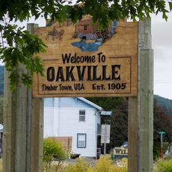 Oakville Blobs: In 1994, Mysterious Gelatinous Goo Rained Down On ...