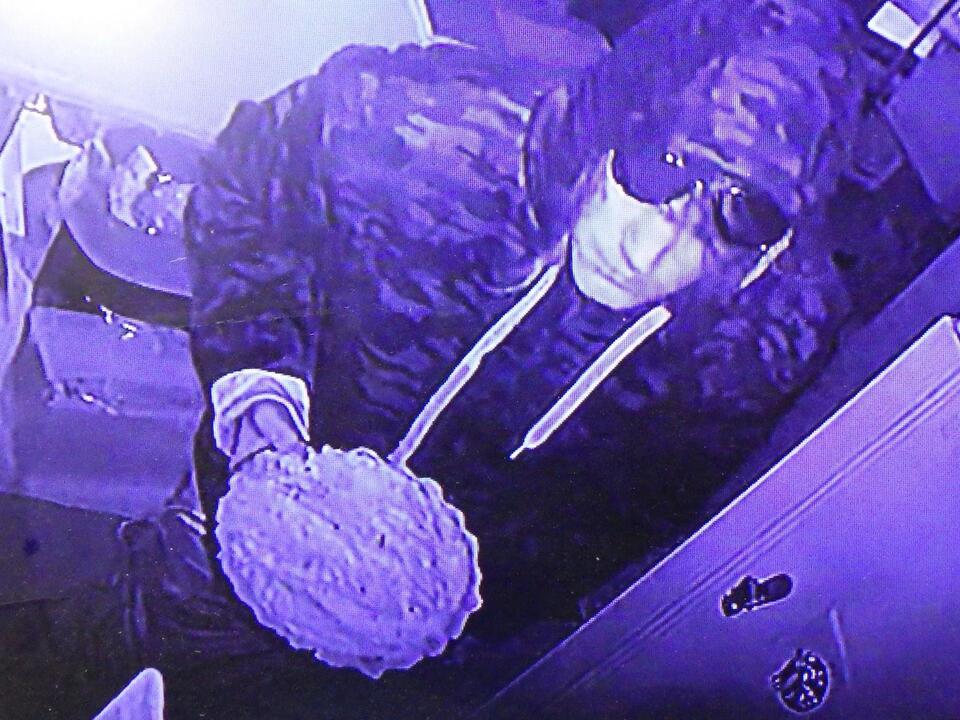 ‘Yogi Bear wanna-be’ arrested in coconut cream pie theft in Grand Island