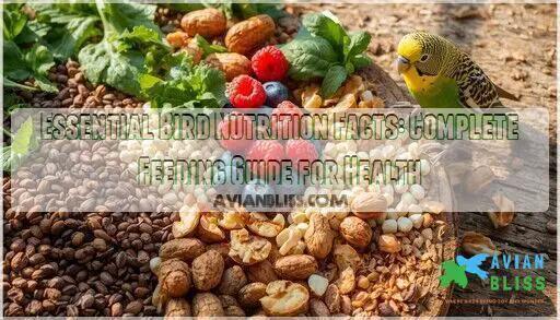 Essential Bird Nutrition Facts: Complete Feeding Guide for Health (2025 ...