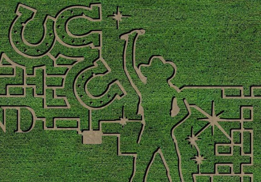 A and G Corn Maze in St. Joe Open with Lainey Wilson Fun - NewsBreak