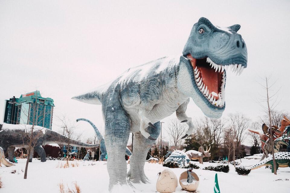 Cold Case: Evidence That Dinosaurs Experienced Snowy Climates - NewsBreak