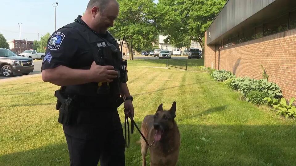 Cadillac Police Department's K9 Sage retiring after 10 years of service ...