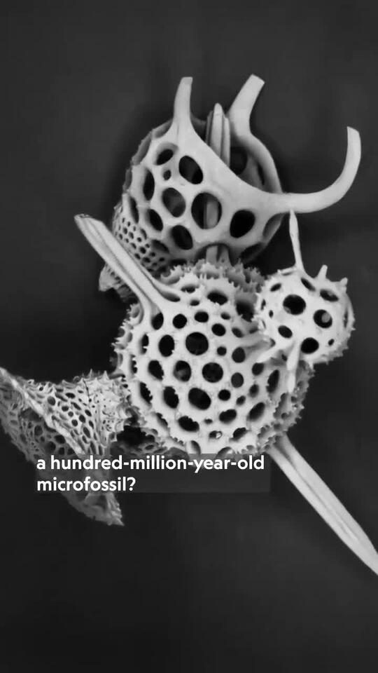 Video and photos by Aaron Huey argonautphoto Photographing hundred ...