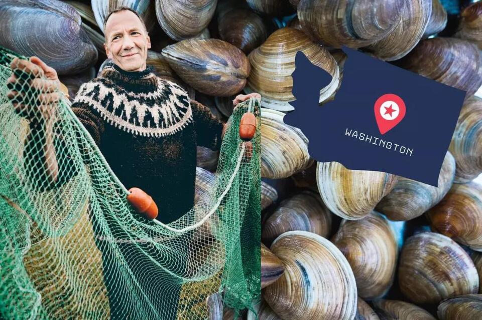 Washington State Clam and Oyster Season: What You Need to Know - NewsBreak