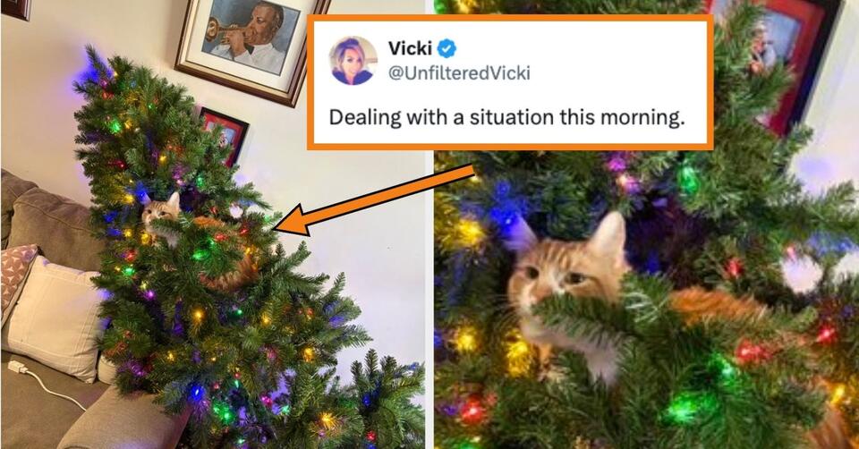 "I'm So F*cking Stupid": I'm Sorry, But I SERIOUSLY Cannot Stop ...