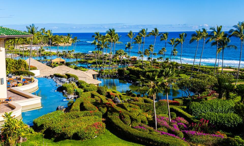 You Know You’ve Lived in Hawaii Too Long if These 11 Things Seem ...