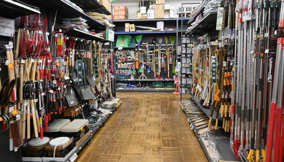 Video shows stunning scene after wild animal runs amok in store: 'Poor ...