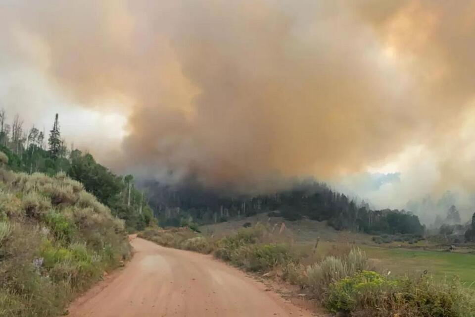 Colorado Wildfire Damage by Year, Number of Fires + Acres Burned ...