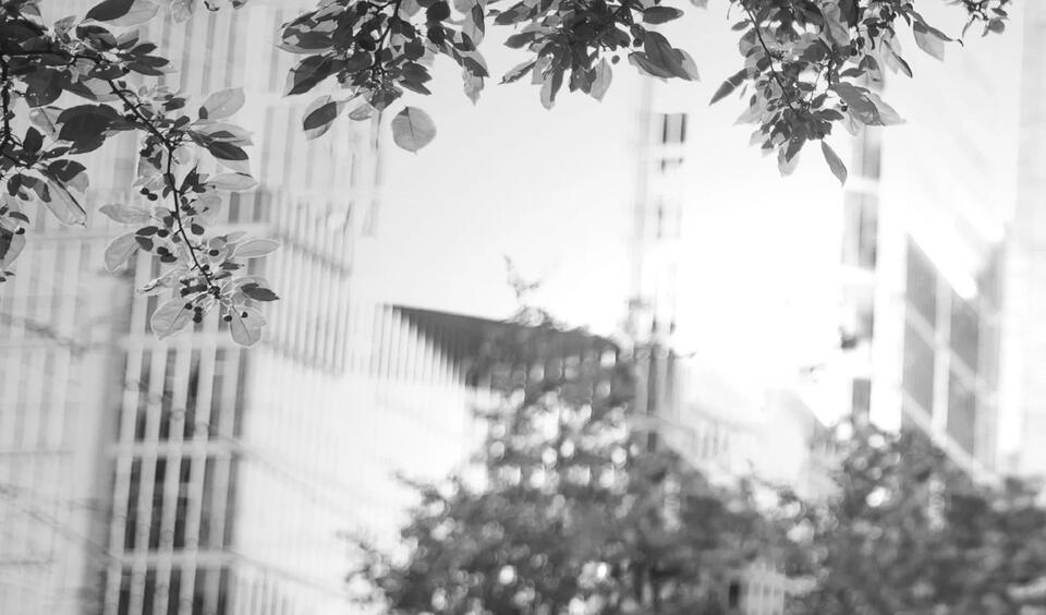 Share Your Ideas For The Next Version Of The Climate Action Framework