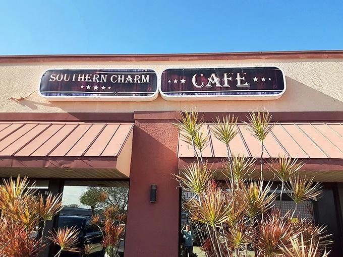 The Homey Cafe In Florida Locals Swear Has The State’s Best French ...