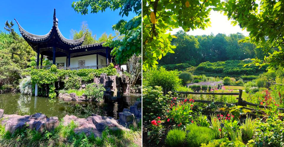12 Public Gardens Across New York With Rare Blooms And Scenic Walks You ...