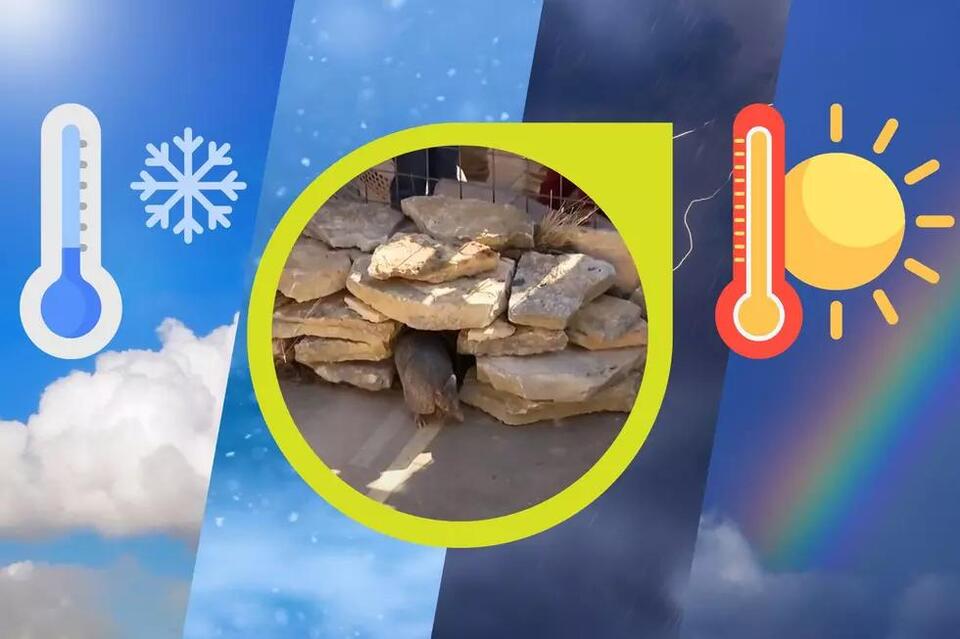 Bee Cave Bob Predicts More Texas Winter… Kind Of? - NewsBreak