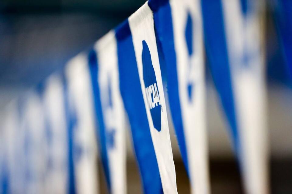 SwimSwam Class of 2025 Database – See Where 1,240+ Swimmers and Divers ...