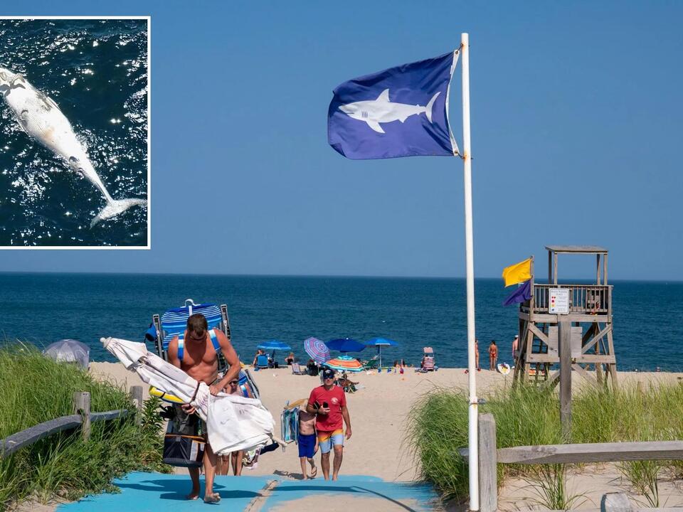 Sharks spotted off Cape Cod ahead of Memorial Day weekend