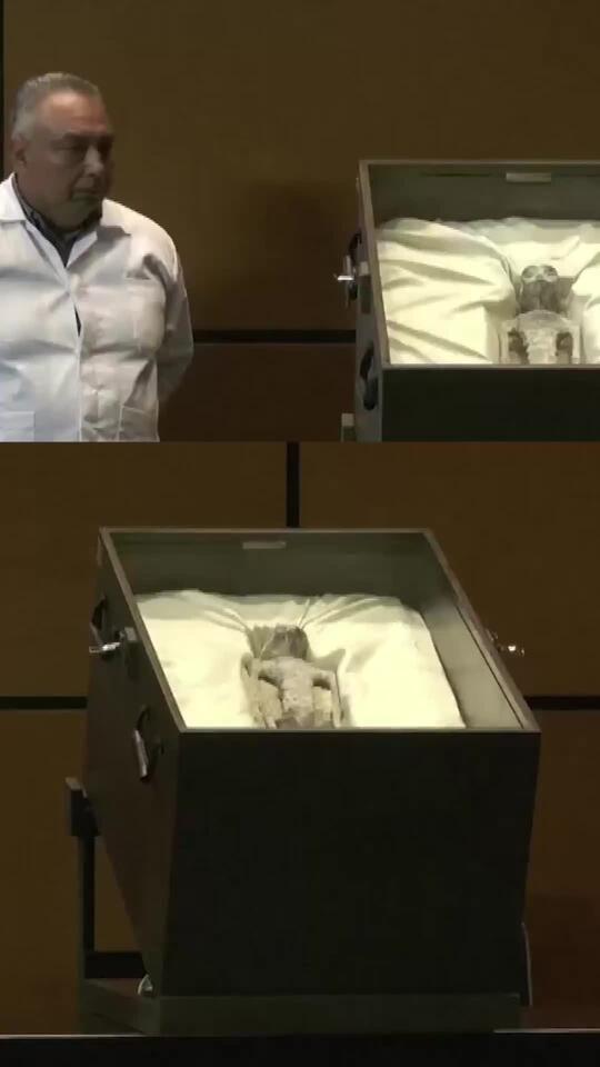 The alleged remains of nonhuman beings were displayed in Mexico during ...
