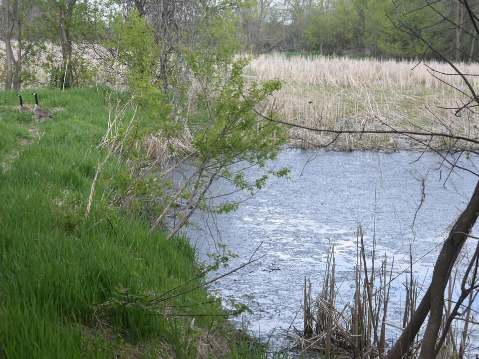 Waseca council talks latest proposals at Gaiter Lake