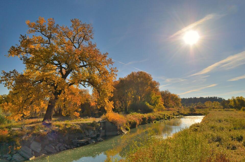 5 Signs Fall Has Officially Hit Montana - NewsBreak