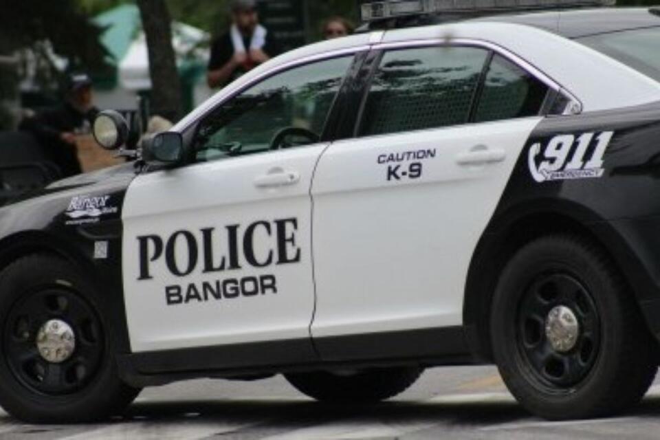 Two Men Arrested In Bangor, Maine After K9 Raye Finds Large Stash Of ...