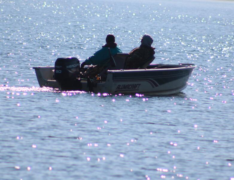Audit finds shortfall in Fish and Wildlife account - NewsBreak