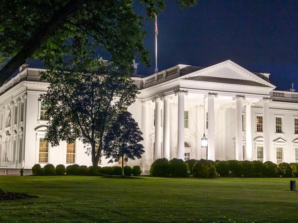 Driver in custody after crashing into White House gates