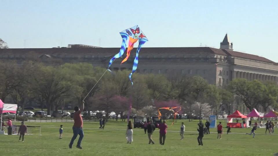 Kite enthusiasts gather at the National Mall in DC for 2024 Blossom ...