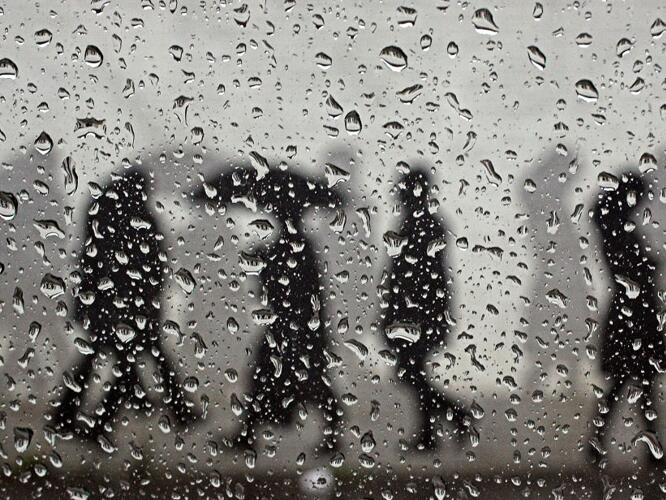 Tuesday rain in Seguin: Ideas to make the most of it