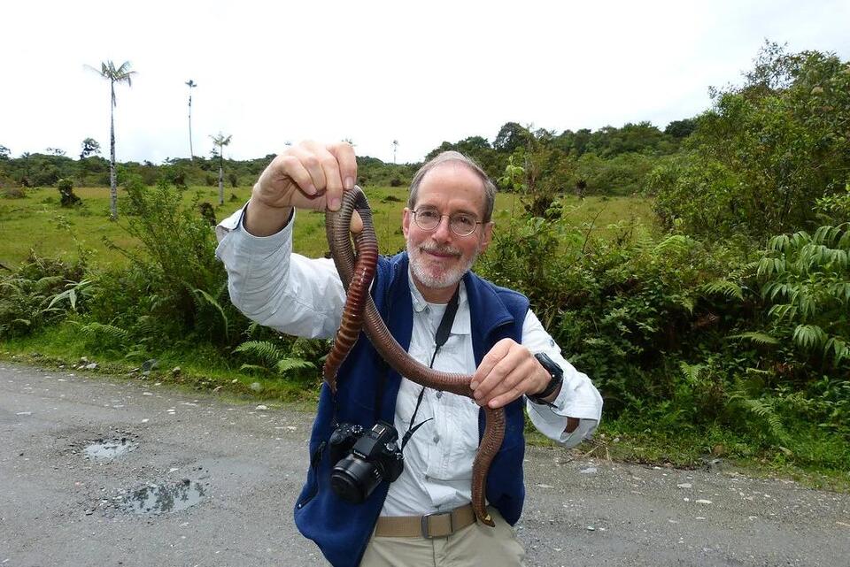 New Zealand Has Earthworms So Big They Look Like Slimy Garden Hoses ...