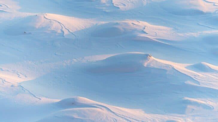 The Deepest Snowfall Ever Recorded in US History - NewsBreak