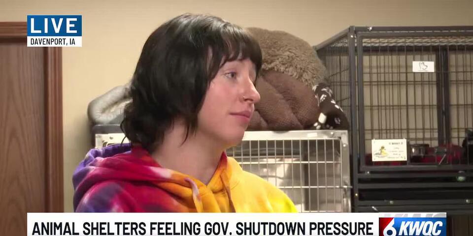 Local animal shelters feeling impact of government shutdown - NewsBreak