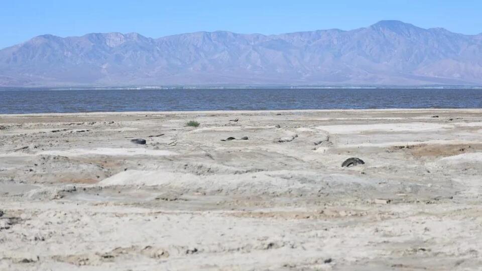 Dust from Dying Salton Sea Endangering Immigrant Communities Along its ...