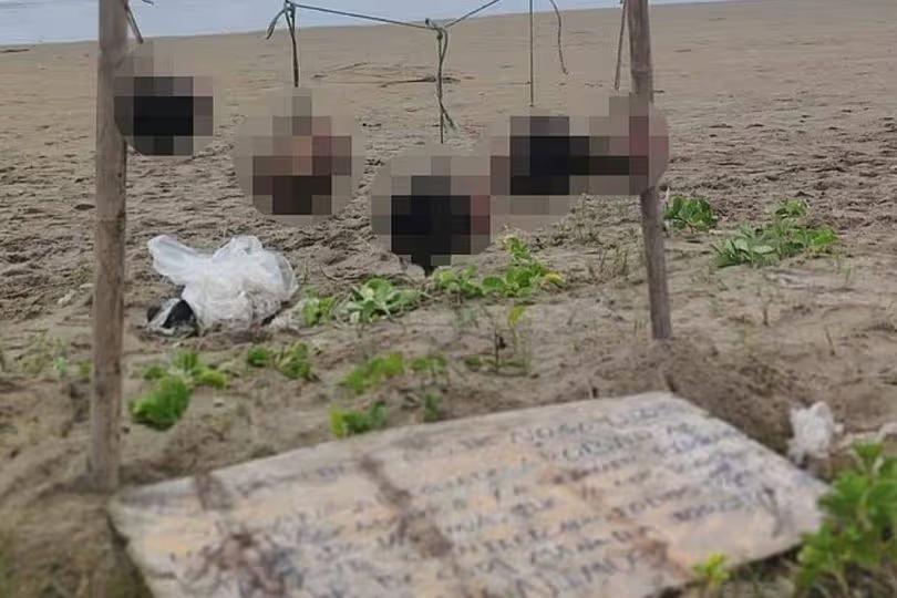 Five severed human heads found hanging on tourist beach with horror ...