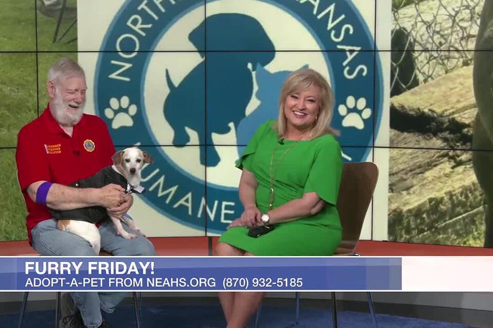 Midday Interview: On Furry Friday, meet Kermit needing a good home ...