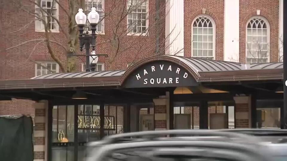 Cambridge will be hosting free World Cup watch parties - NewsBreak
