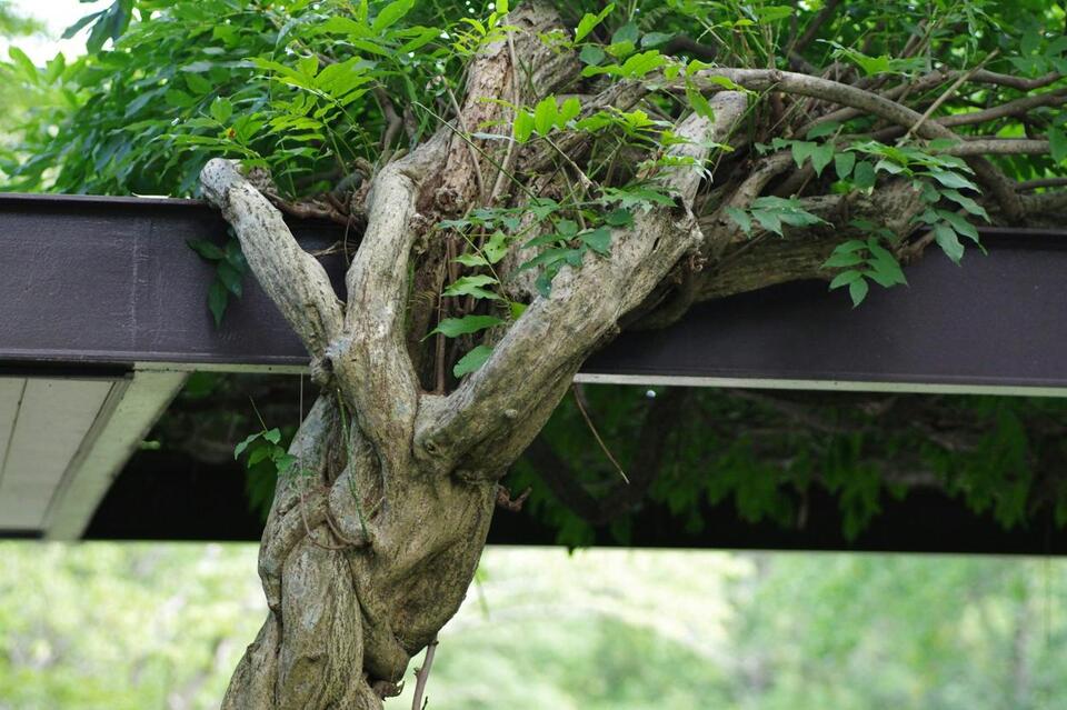 Freak Accident Near Hudson Valley School Kills New York Dad - NewsBreak