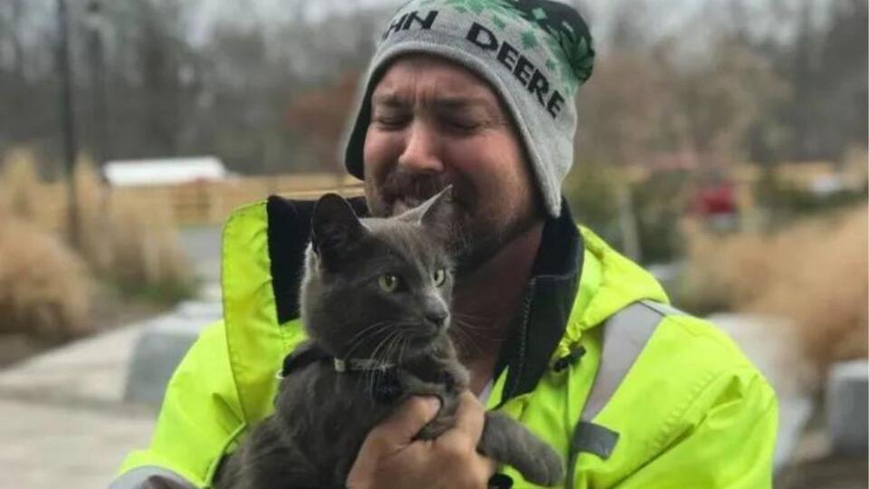 After Missing For 5 Long Months, Ohio Cat Comes Home To His Dad And ...