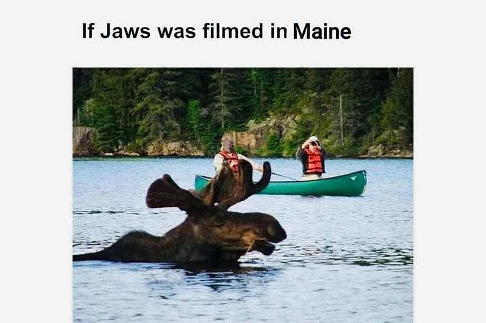 10 Memes About Maine That Are Totally on Point - NewsBreak