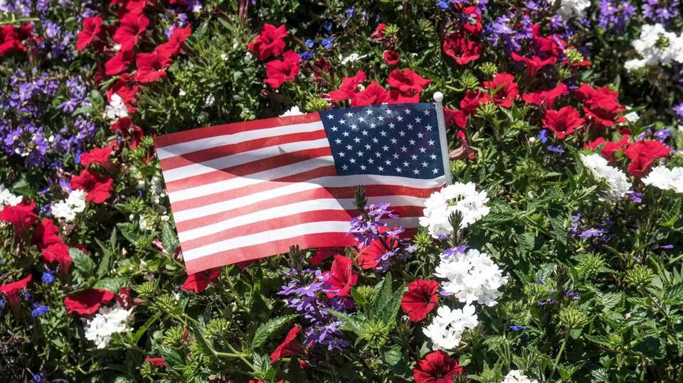 7 Times Flowers Became Political Symbols - NewsBreak
