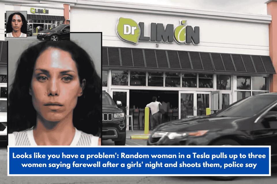 Looks like you have a problem’: Random woman in a Tesla pulls up to ...